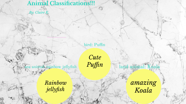 Animal classification project! by Claire Kunz on Prezi