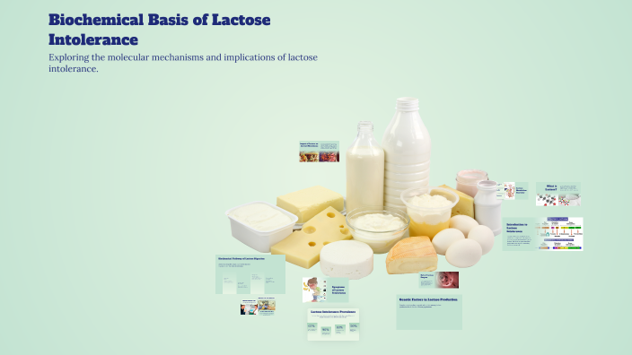 Biochemical Basis of Lactose Intolerance by Ayesha Junaid on Prezi