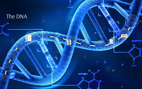 Simple organic molecules into long complex molecules like DN by Claric ...