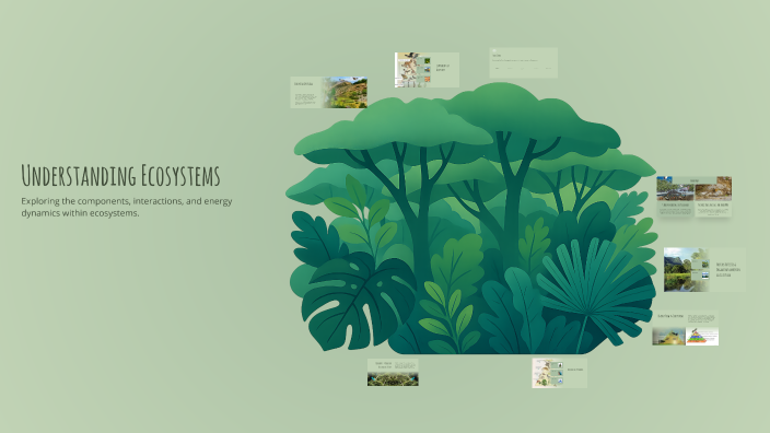 Understanding Ecosystems by James L on Prezi