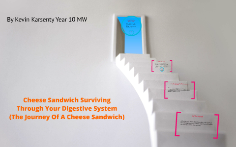 Cheese Sandwich In Your Digestive System :D by Kevin Karsenty on Prezi