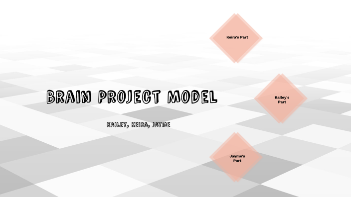 Brain Model Project by Kailey Bland on Prezi