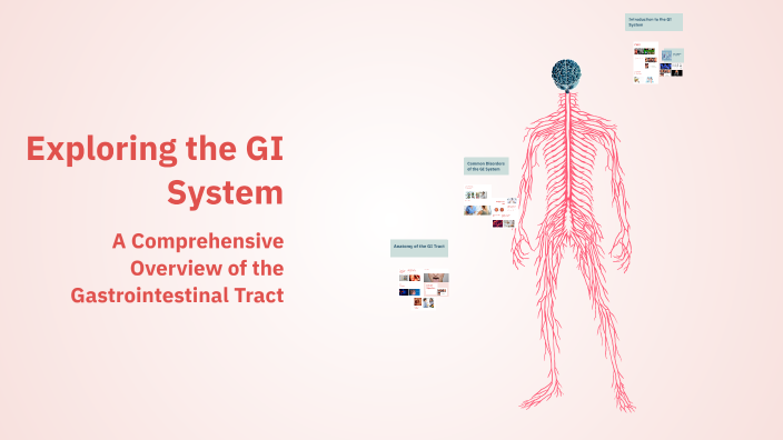 Exploring the GI System by Yariel Rangel on Prezi