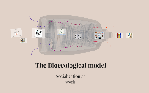 The Bioecological model by Nicholas Nielson on Prezi