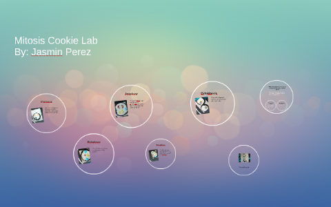 Mitosis Cookie Lab by Jasmin Perez on Prezi