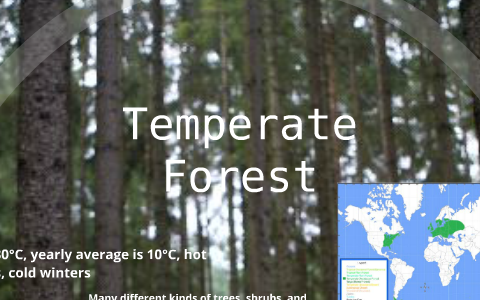 Temperate Forest by Emily Sherow on Prezi