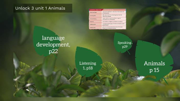 unlock3 unit1 by S A on Prezi