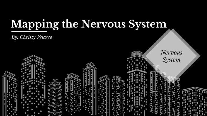 Nervous System Mapping by CHRISTINA VELASCO on Prezi