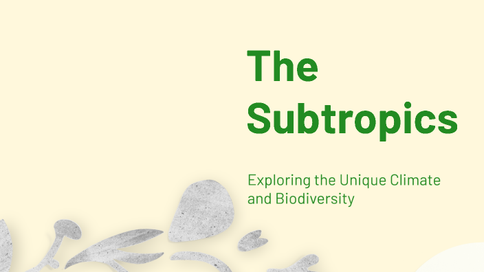 The Subtropics by Sara on Prezi