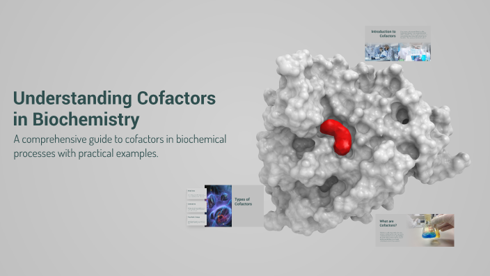 Understanding Cofactors in Biochemistry by Om Patil on Prezi
