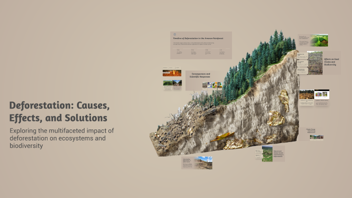 Deforestation: Causes, Effects, and Solutions by Anbo Gao on Prezi