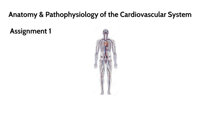 Anatomy & Pathophysiology of the Cardiovascular System by Cowan Donovan ...