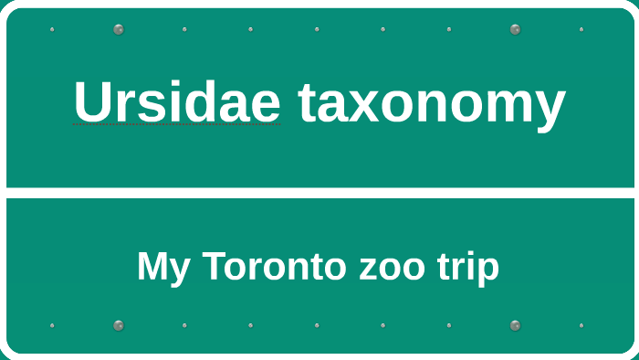 Ursidae taxonomy by lauren szeto on Prezi