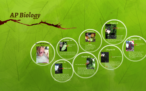 AP Biology by Stephanie Geoghegan on Prezi