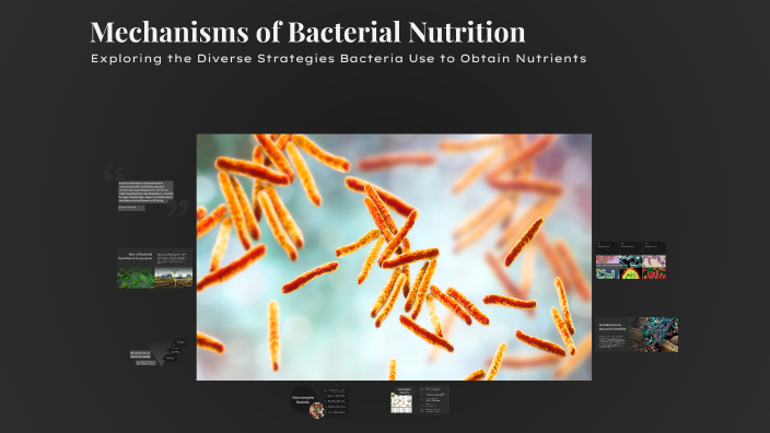 Mechanisms of Bacterial Nutrition by ali ahmed on Prezi