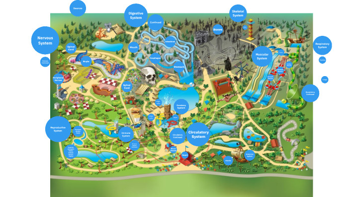 Human Body Theme Park by Joshua Rhomberg on Prezi