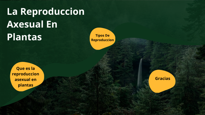 La reproduccion axesual by sammuel medina calero on Prezi
