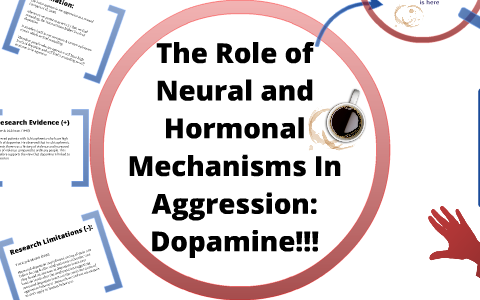 The Role of Neural and Hormonal Mechanisms In Aggression ...