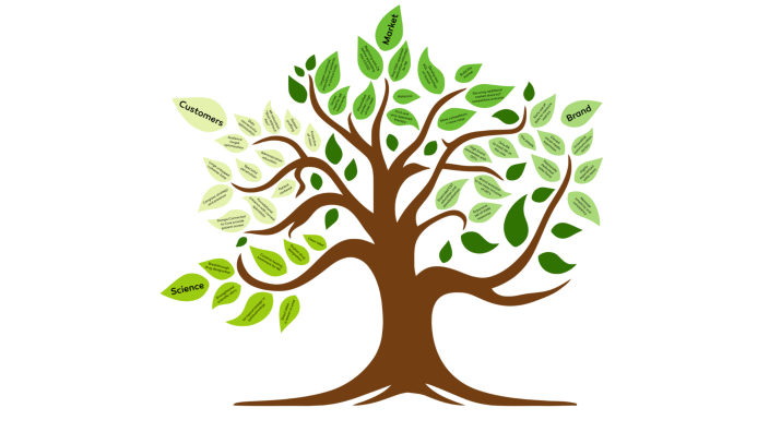 View the Workshop Tree by Greater Than One on Prezi