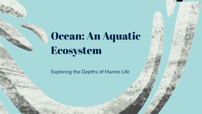 Ocean: An Aquatic Ecosystem by Hannah Snook on Prezi