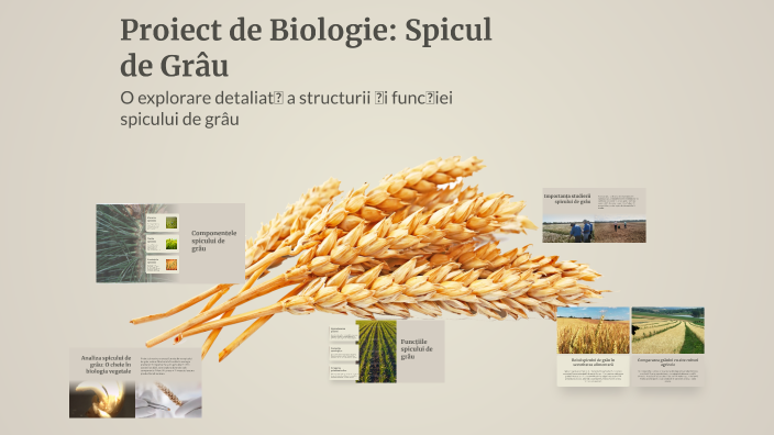 Proiect de Biologie: Spicul de Grâu by Olei Roman on Prezi