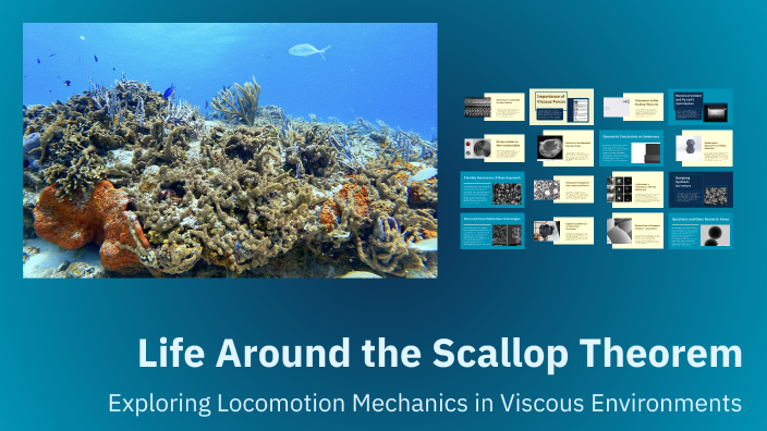 Life around the scallop theorem by Saqlain Jhatial on Prezi
