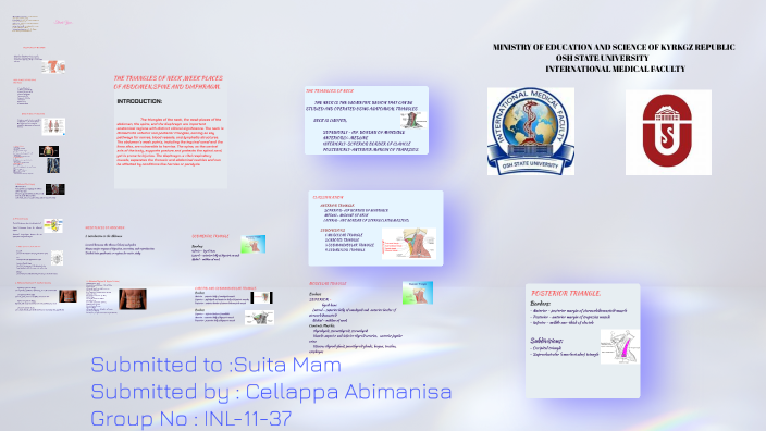 THE TRIANGLE OF NECK.THE WEEK PLACES OF ABDOMEN SPINE AND DIAPHRAGM. by ...