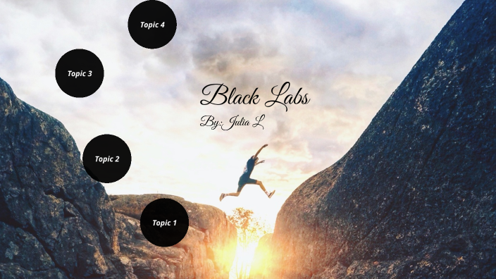 Research Project by Julia Laney on Prezi