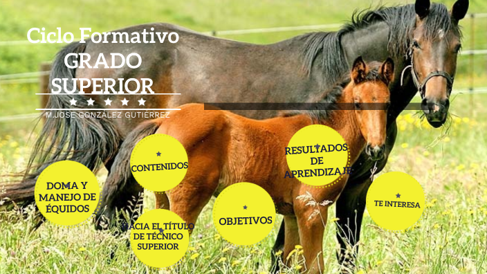 PRESENTACIÓN DEL MÓDULO DOMA Y MANEJO DE ÉQUIDOS by MARÍA JOSÉ GONZÁLEZ GUTIÉRREZ on Prezi