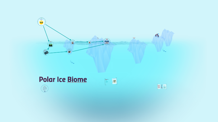 Polar Ice Biome by Sytina Perrett on Prezi