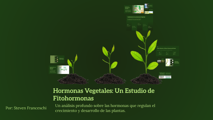 Hormonas Vegetales: Un Estudio de Fitohormonas by steven franceschi on ...