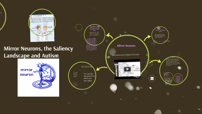 Mirror Neurons, the Saliency Landscape and Autism by Marcia Cordes on Prezi