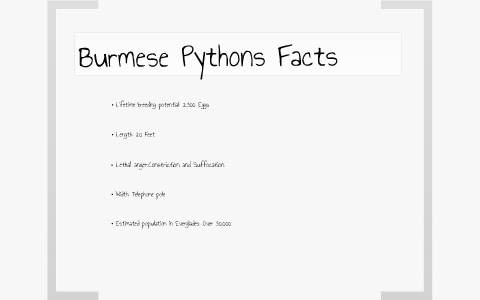 Burmese Python OverPopulation by Roger Benjamin on Prezi