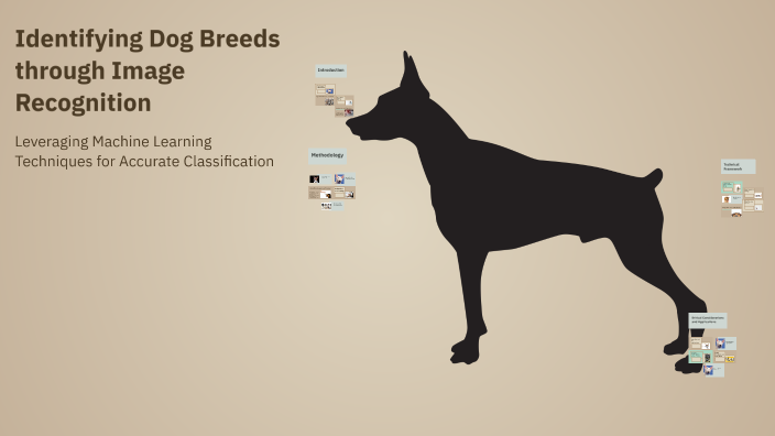 Identifying Dog Breeds through Image Recognition by Kesaverdhen on Prezi