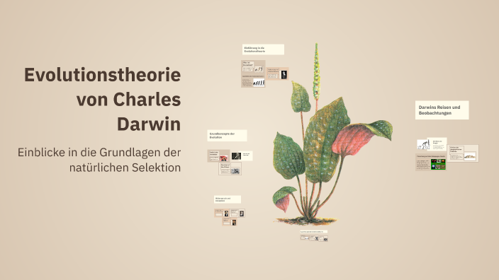 Evolutionstheorie von Charles Darwin by Junias Renzel on Prezi