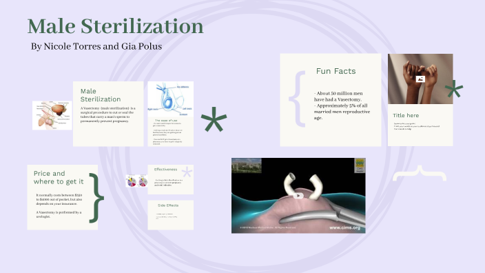 Male Sterilization by Yeili torres on Prezi