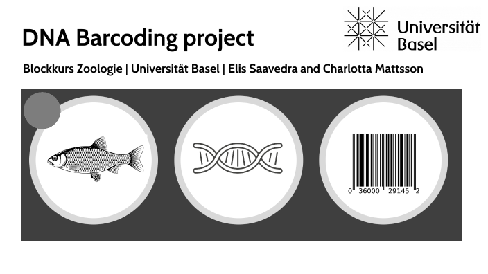 DNA Barcoding project by on Prezi