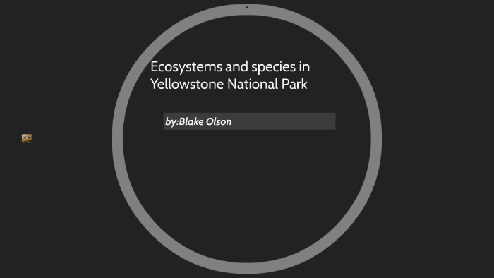 Ecosystems and species on Yellowstone national park by Blake Olson on Prezi