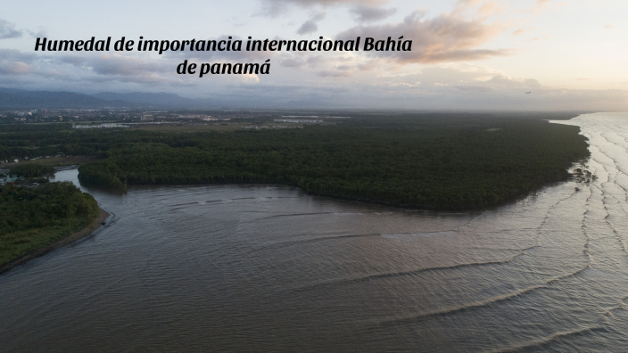 Humedal de la importancia de panamá by Ricardo Cubilla on Prezi