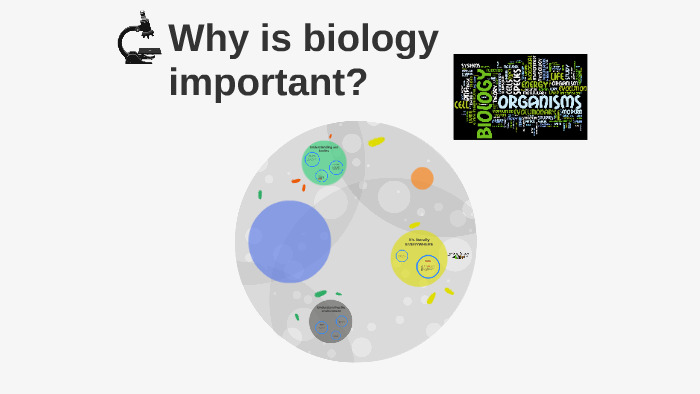Why is biology important? by Dustin Prue on Prezi