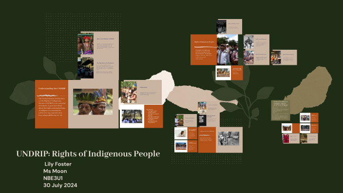 UNDRIP: Rights of Indigenous People by Lily Foster on Prezi
