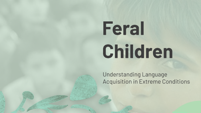 Feral Children by Luka Nenadic on Prezi