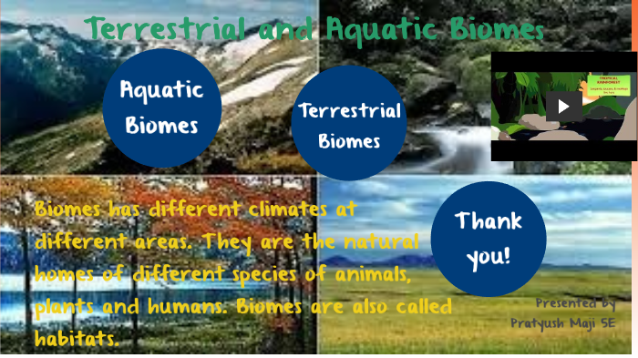 Aquatic and Terrestrial Biomes by Pratyush Maji on Prezi