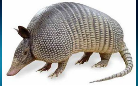 daijon's exibition by Daijon Jackson on Prezi