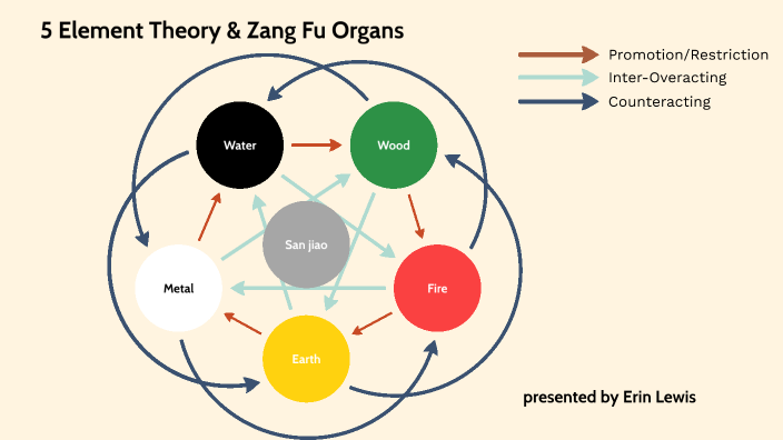 Zang Fu Theory by Erin Lewis on Prezi
