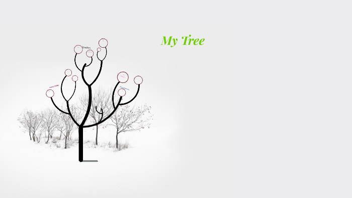 Trinity Sledge by Trinity Sledge on Prezi