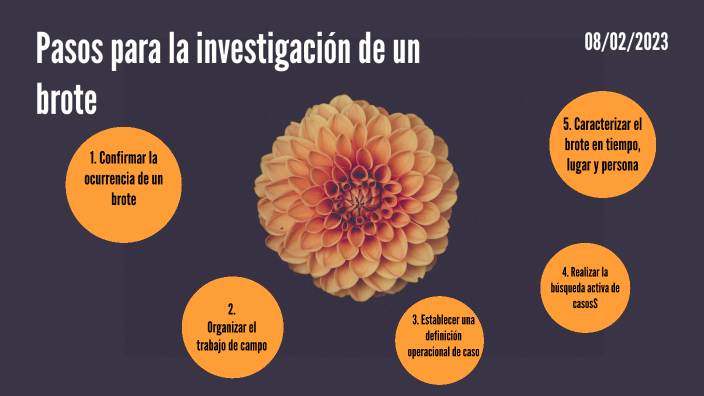 Pasos para la investigación de un brote by HEIDI MELGAR MELGAR CARDOZA ...