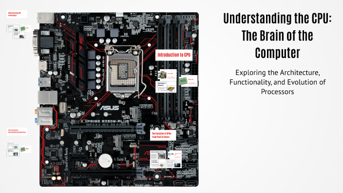 Understanding the CPU: The Brain of the Computer by Hossain Samid on Prezi