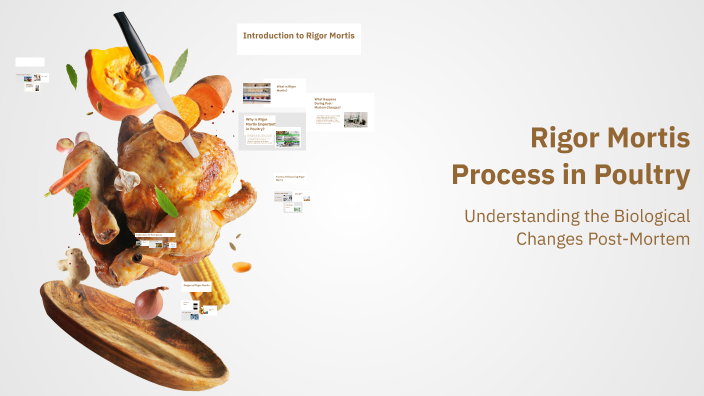 Rigor Mortis Process in Poultry by Fatima Tahir on Prezi