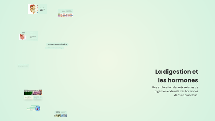 La digestion et les hormones by Nguyễn Mai on Prezi